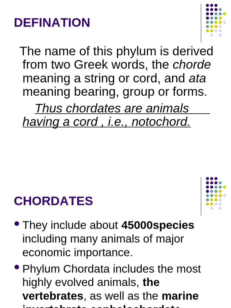 Protochordata Rtn 2017-1 | PDF | Chordates