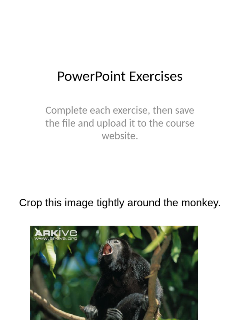 PowerPoint Exercise Ok | PDF