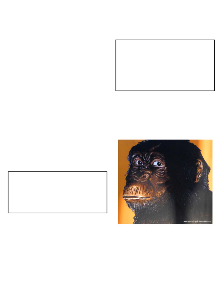 Human Origins Review Fossil Photo Guide | PDF | Human Evolution | Homo