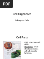 Cell City Worksheet Answer Key | PDF | Cell (Biology) | Cytoplasm