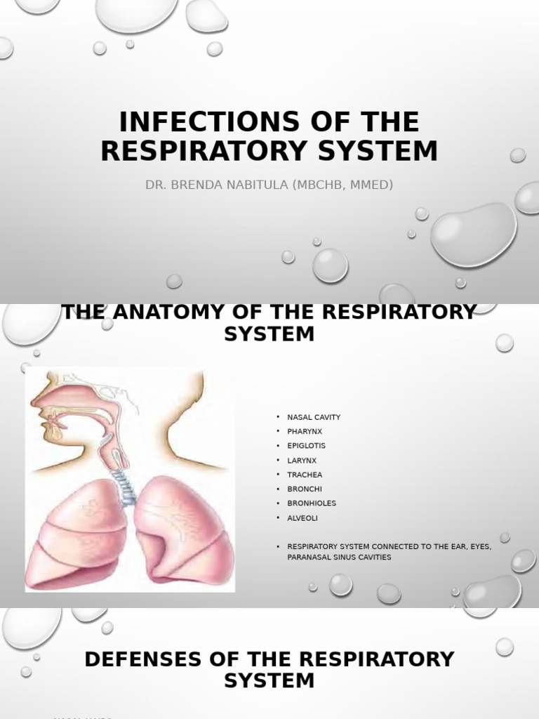 Infections of The Respiratory System | PDF | Respiratory Tract | Pneumonia