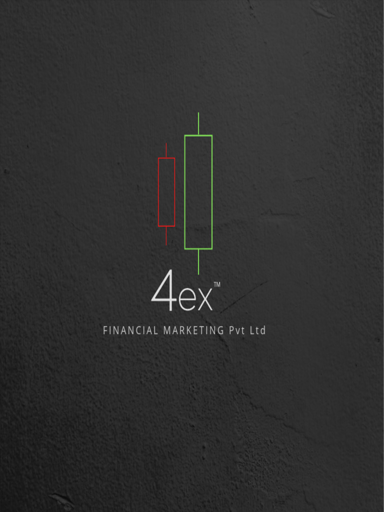 4ex New2 | PDF