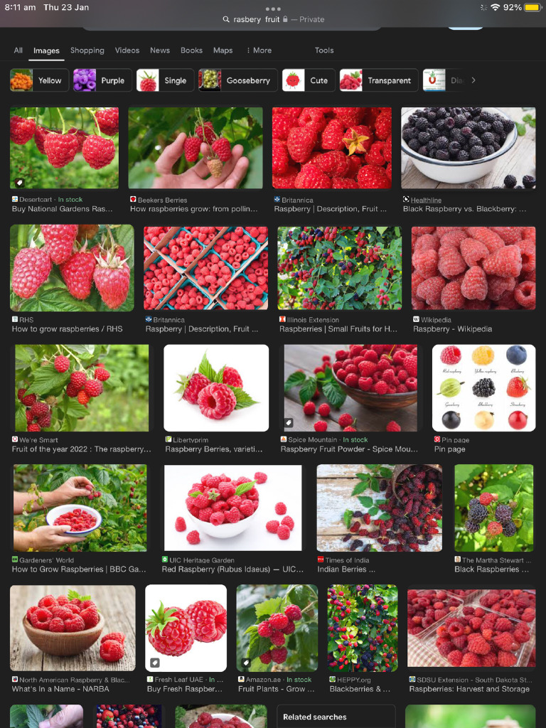 Raspberry | PDF