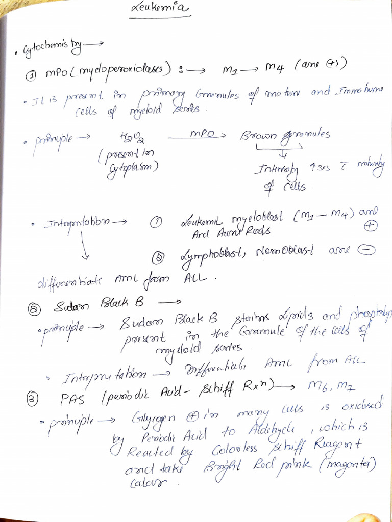 Bone Marrow Disorders Overview | PDF