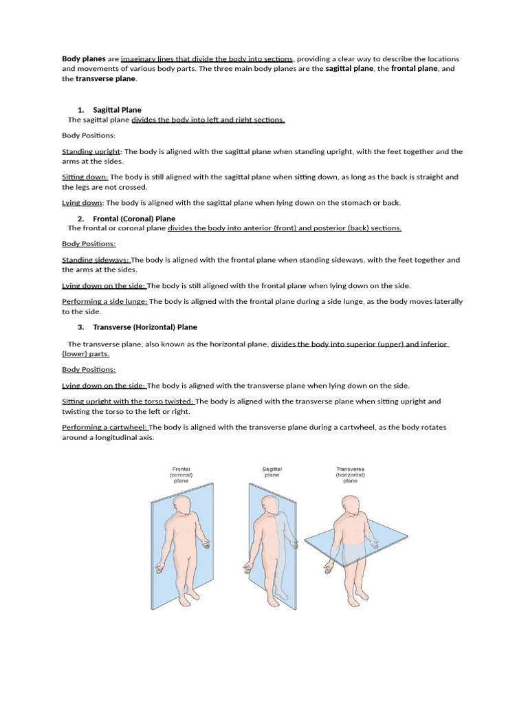 Understanding Body Planes and Positions | PDF