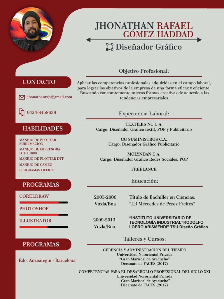 CV Y PORTAFOLIO 2 | PDF | Diseño | Ingeniería