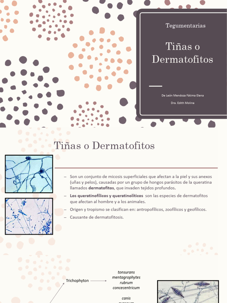 3 Dermatofitos_FatiDeLeon | PDF | Piel | Dermatología