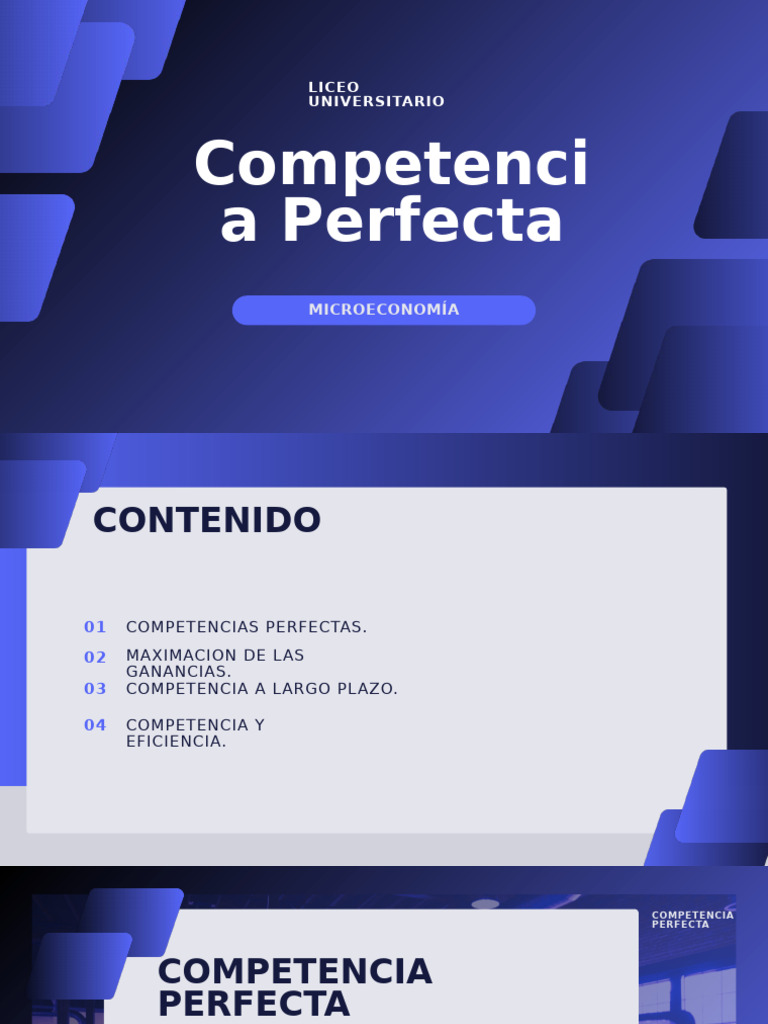 Competencia Perfecta | PDF