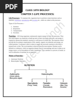 Class 10 Human Digestive System Notes | PDF | Digestion | Stomach