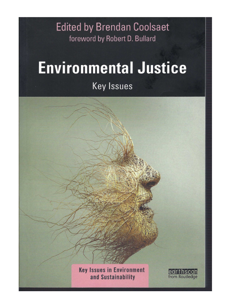 Sze_Sustainability and Environmental Justice | PDF