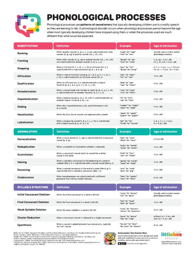 Phonological Processes 8.5x11 | PDF