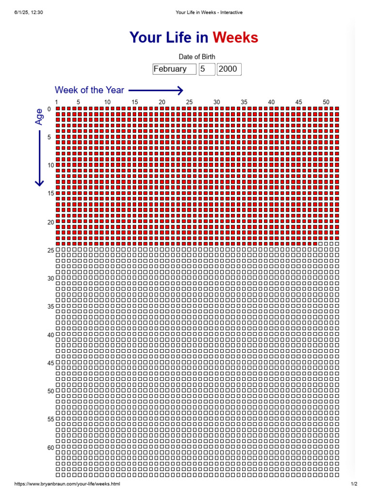 Your Life in Weeks Interactive Guide | PDF