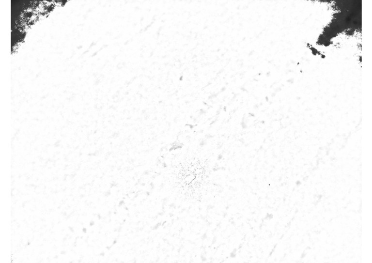 Scanned 20250123-1102 | PDF