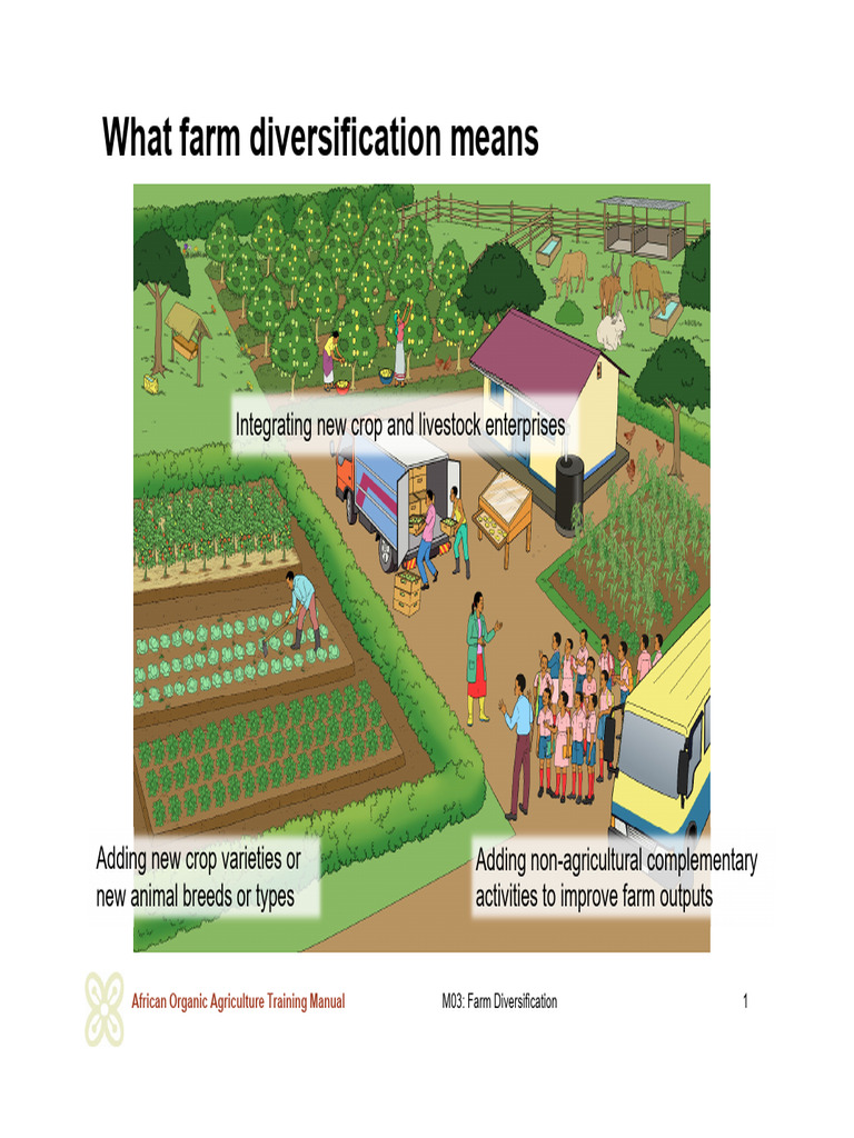 1726 Pres Farm Diversification | PDF | Agriculture | Organic Farming