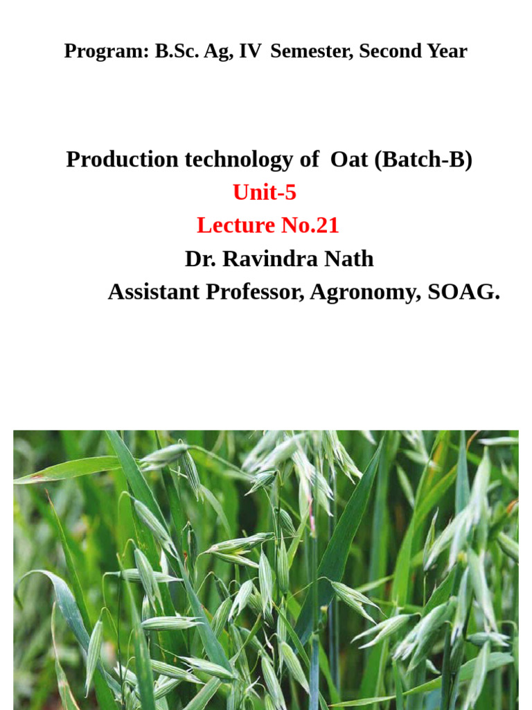 Oat Production Technology Guide | PDF | Oat | Sowing