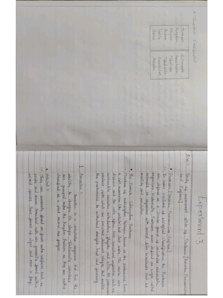 Experiment 3 1 | PDF