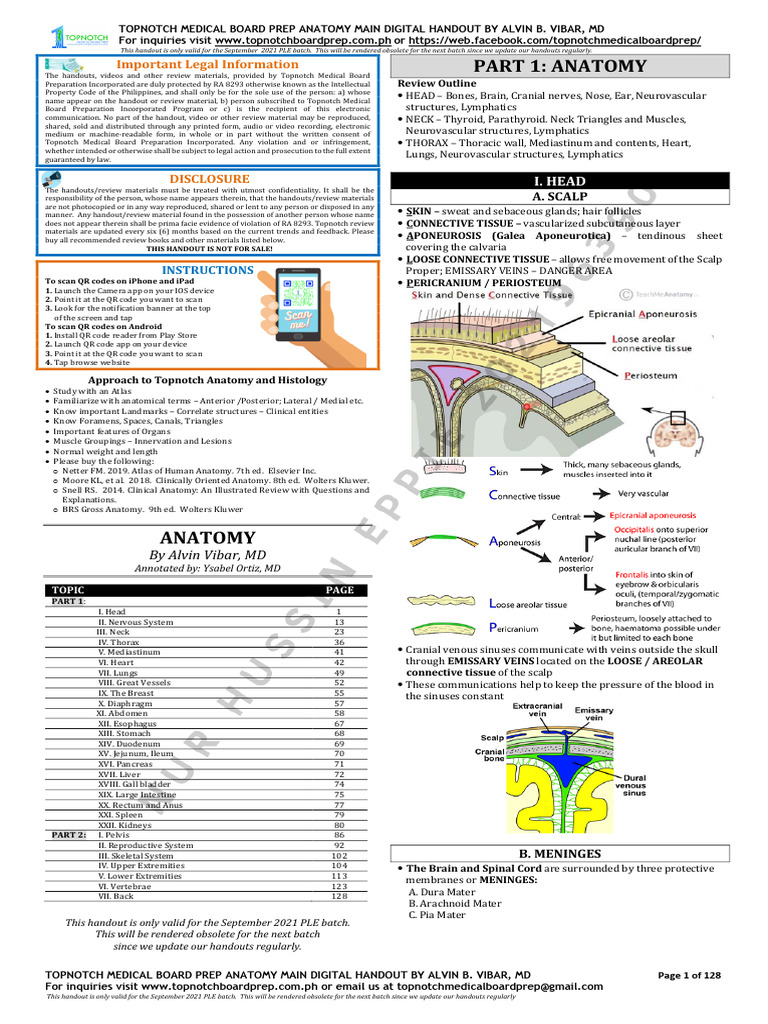 Anatomy (1) | PDF | Human Nose | Skull