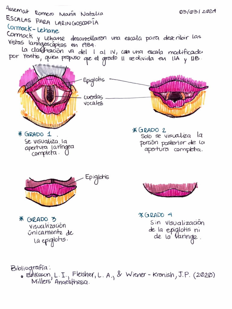 Escalas Laringoscopia - Maria Natalia Assemat Romero | PDF