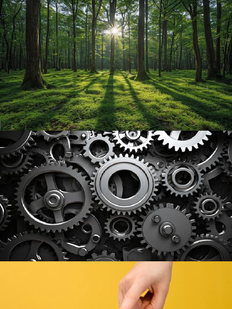 Ecosystem, NCERT Line by Line | PDF | Food Web | Primary Production