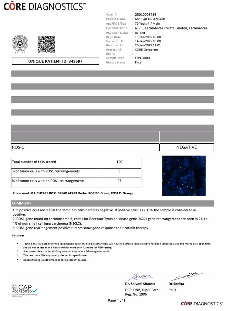 Report - 25010008736 - GAFUR ANSARI | PDF | Diseases And Disorders ...