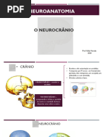 Forames Do Crânio | PDF | Neuroanatomia | Anatomia humana
