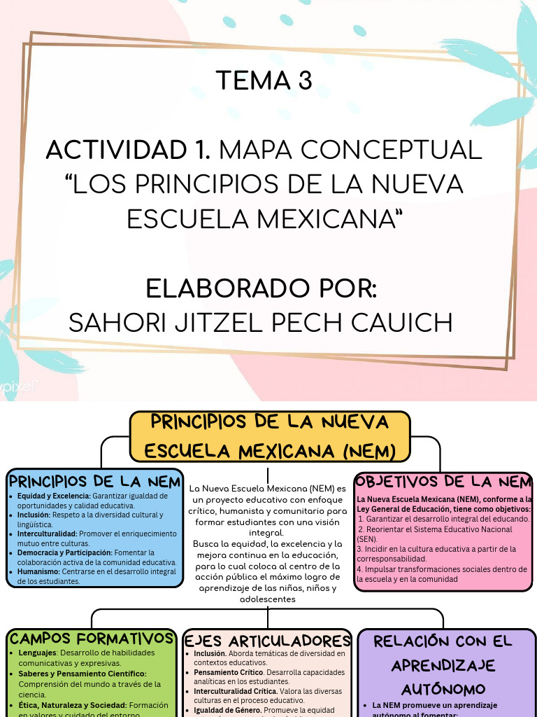 Mapa Conceptual - NEM | PDF | Aprendizaje | Escuelas