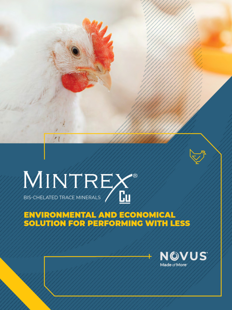P - MINTREX Cu - Brochure - EN - Global - FNL - Oct2023 | PDF | Copper