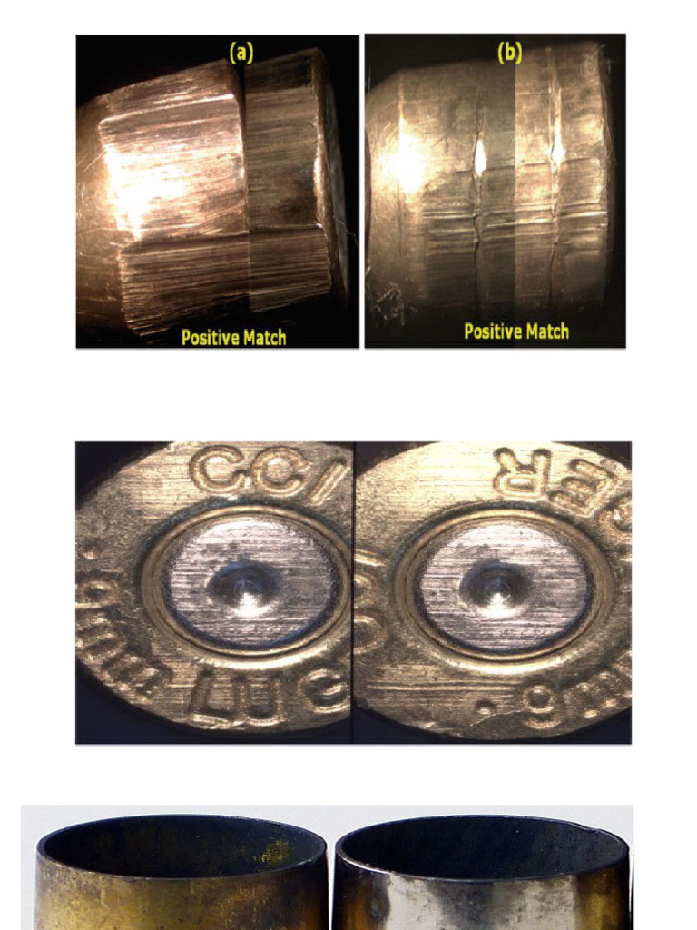 Example of Exhibit | PDF