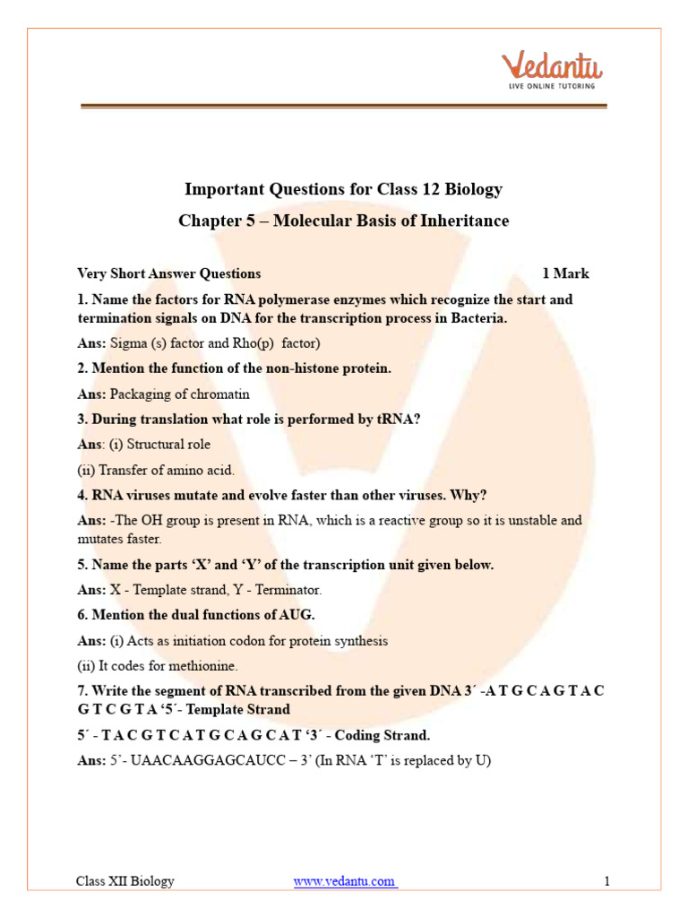 Important Questions on Inheritance | PDF | Operon | Translation (Biology)