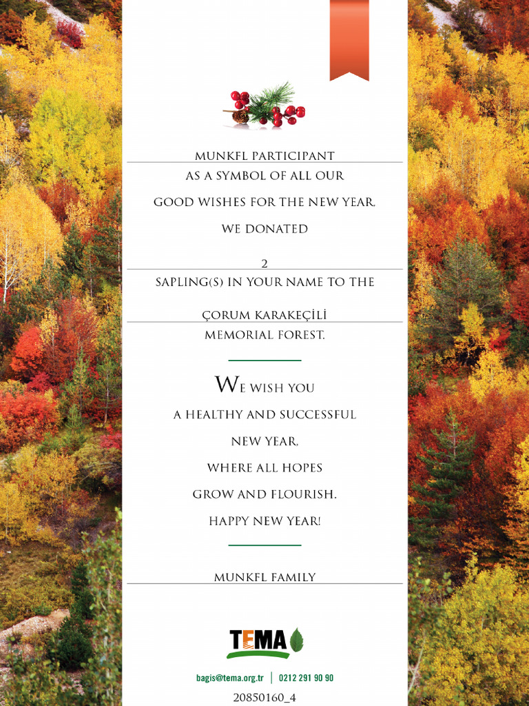 Tema Certificate | PDF