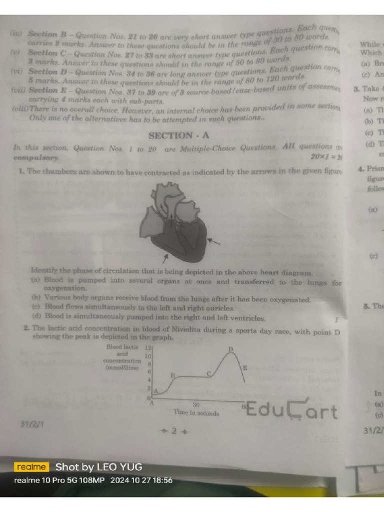 Science Question Paper | PDF