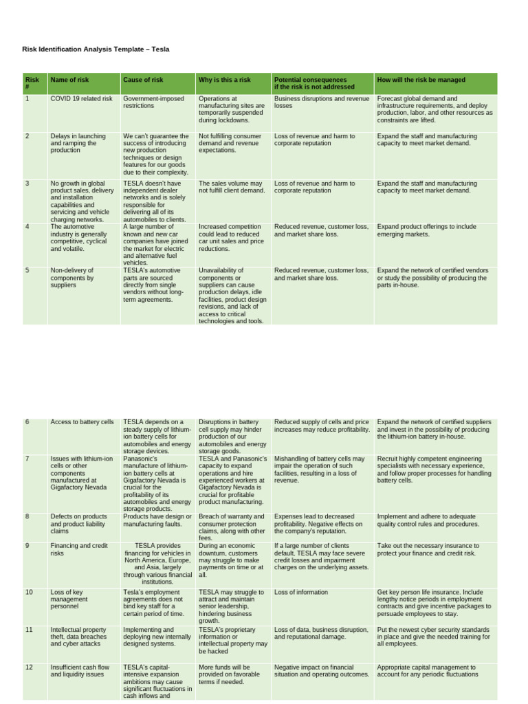 Tesla Risk Management Overview | PDF | Business | Economies