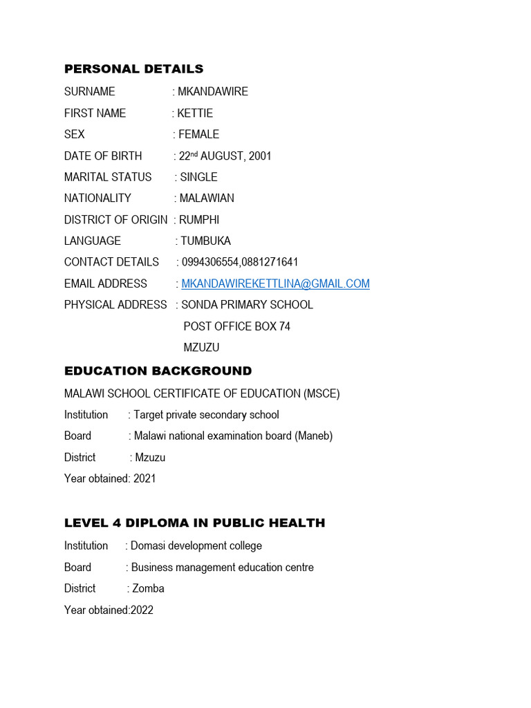 Kettie Mkandawire Curriculum Vitae | PDF | Public Health | Malawi
