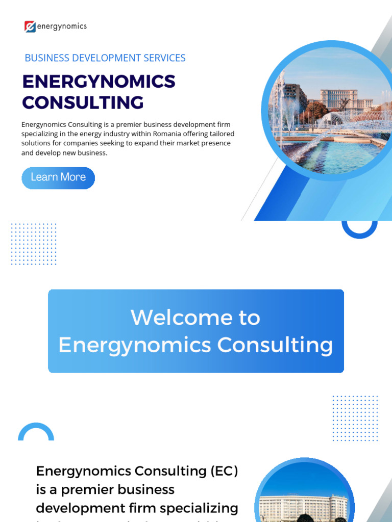 Energynomics Consulting Presentation | PDF | Risk Management | Negotiation