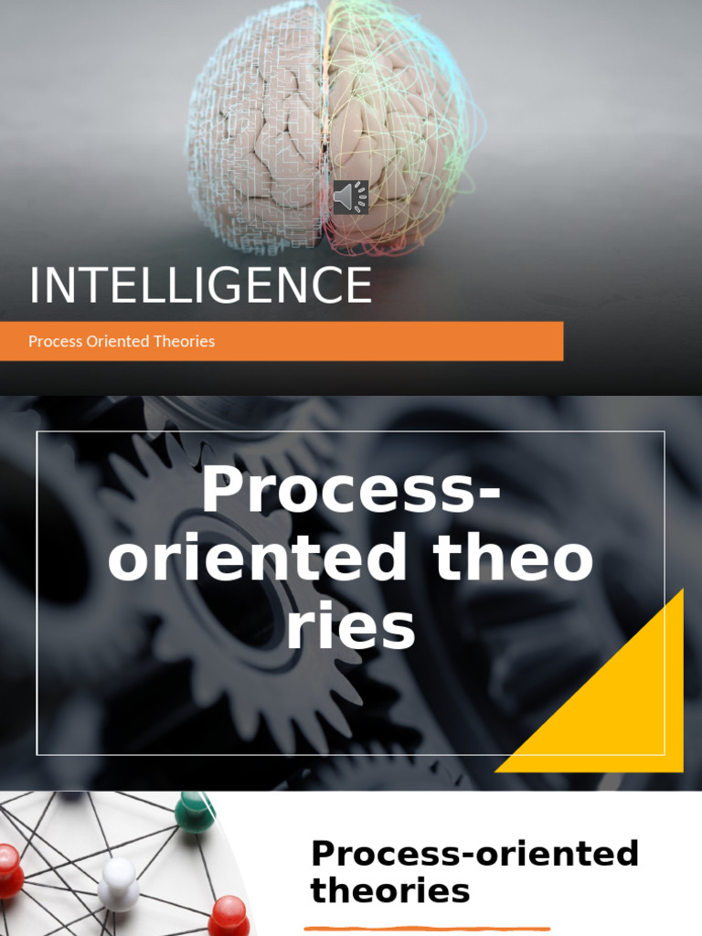 Process Oriented Theories | PDF | Schema (Psychology) | Intelligence