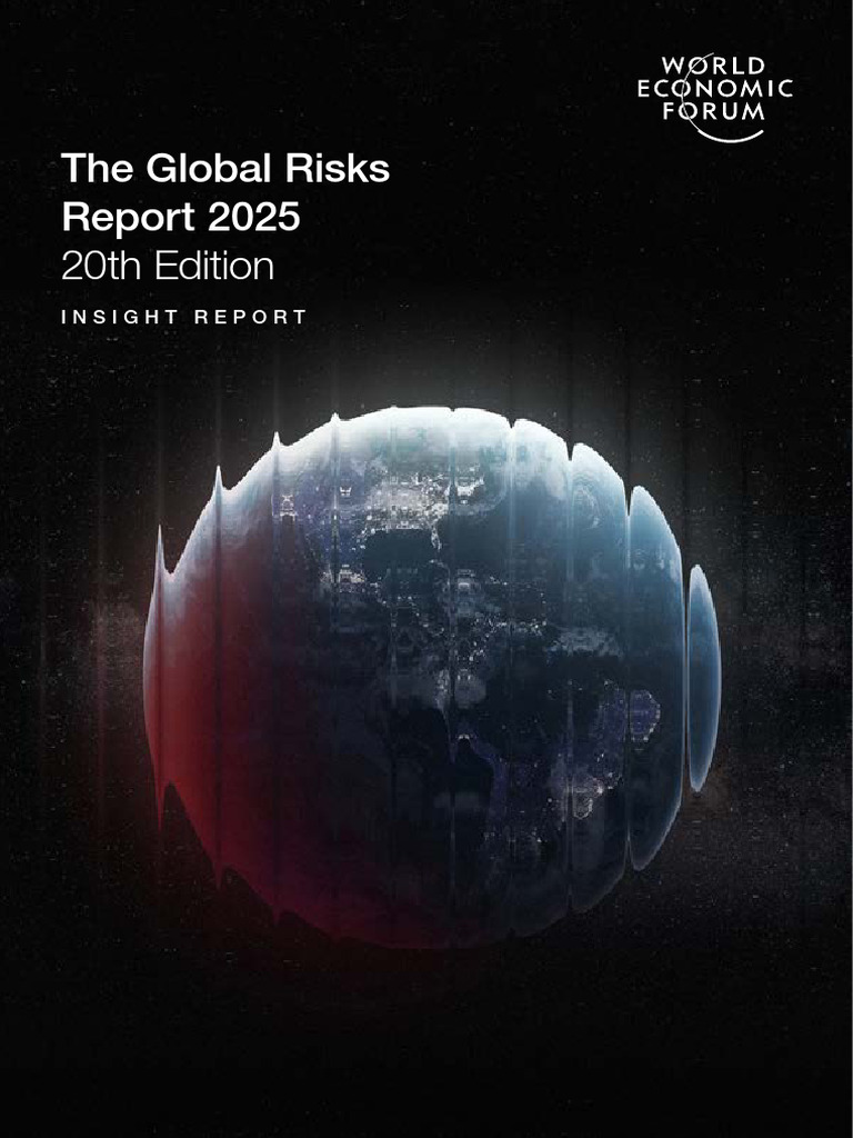 WEF Global Risks Report 2025 Key Findings MAR GLOBAL | PDF | Risk ...