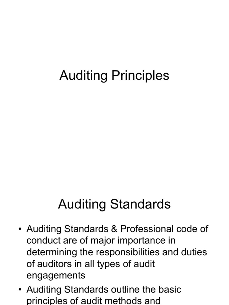 Auditing Principles | PDF
