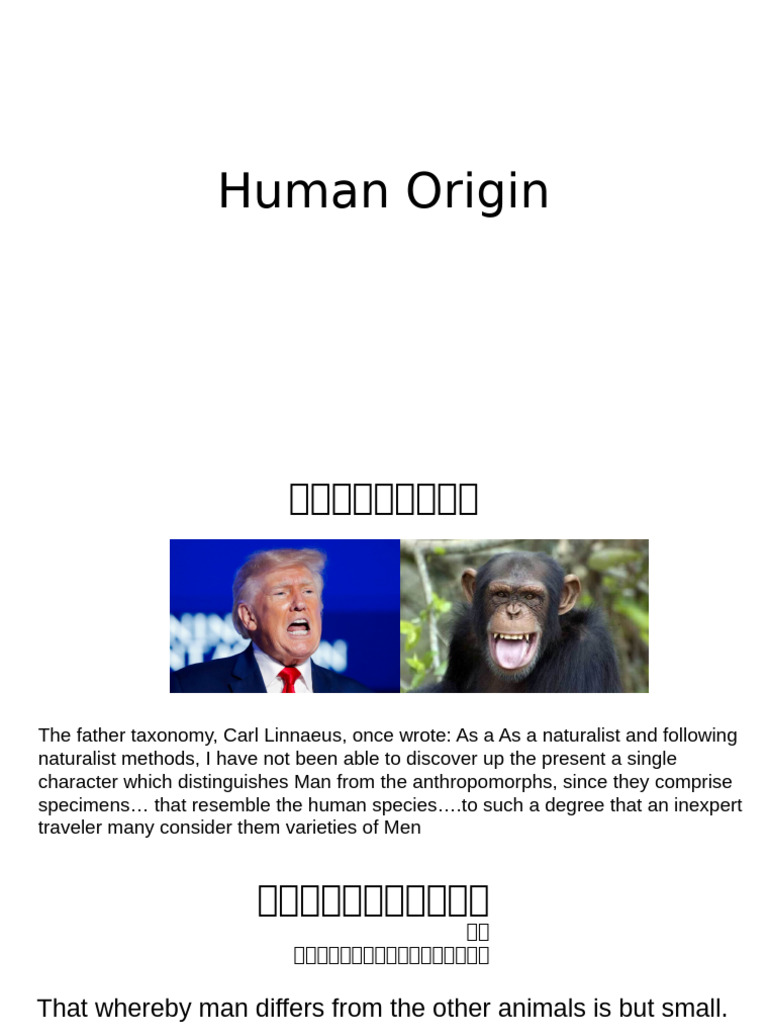 人類的演化 | PDF | Bipedalism | Lucy (Australopithecus)