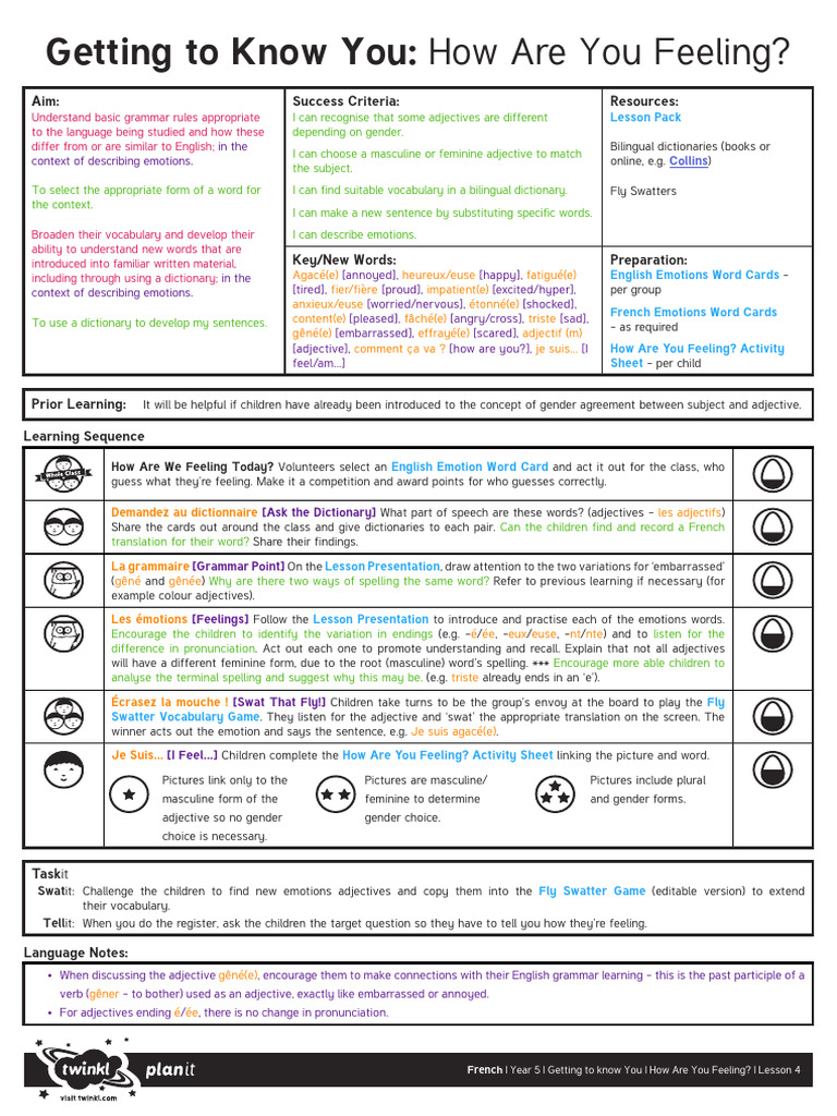 Y5 French Lesson Plan How Are You Feeling | PDF | Grammatical Gender ...