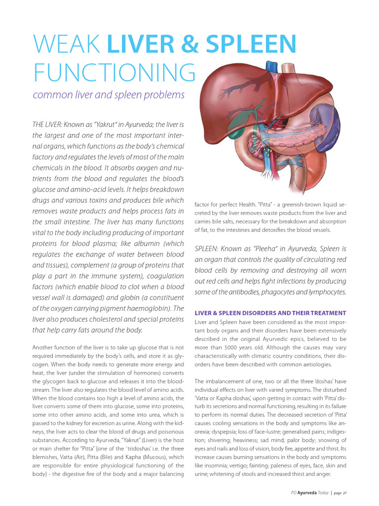 Weak Lever and Spleen Functioning | PDF | Liver | Blood