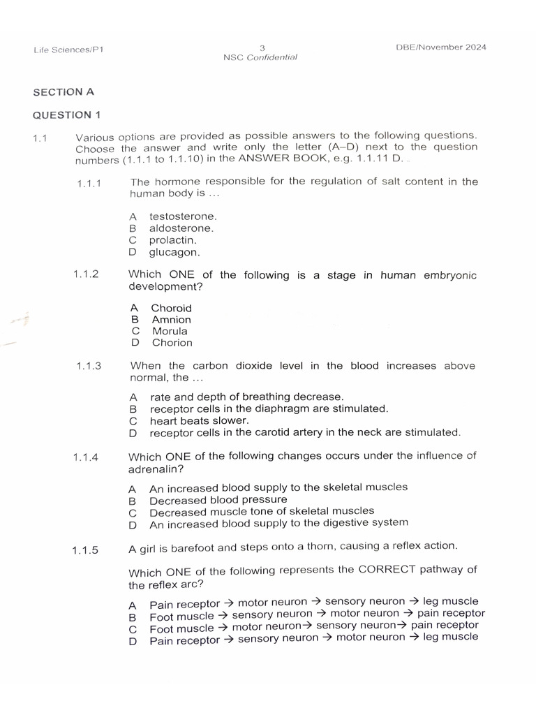 Paper 1 LS 2024 NSC Compressed | PDF