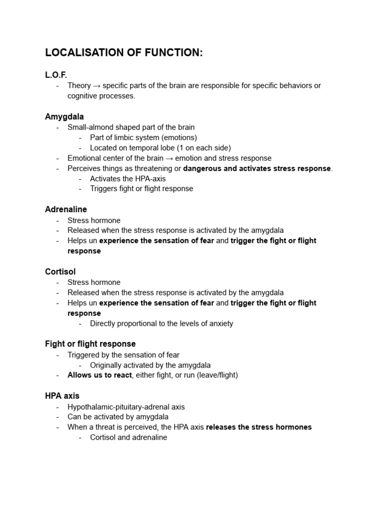 LOCALISATION OF FUNCTION IB Psychology | PDF