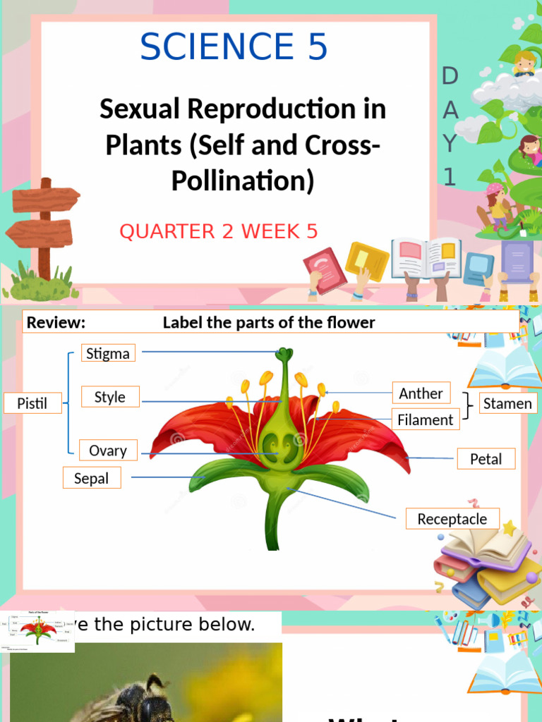 Q2-W5-SCIENCE-5 | PDF | Flowers | Grafting