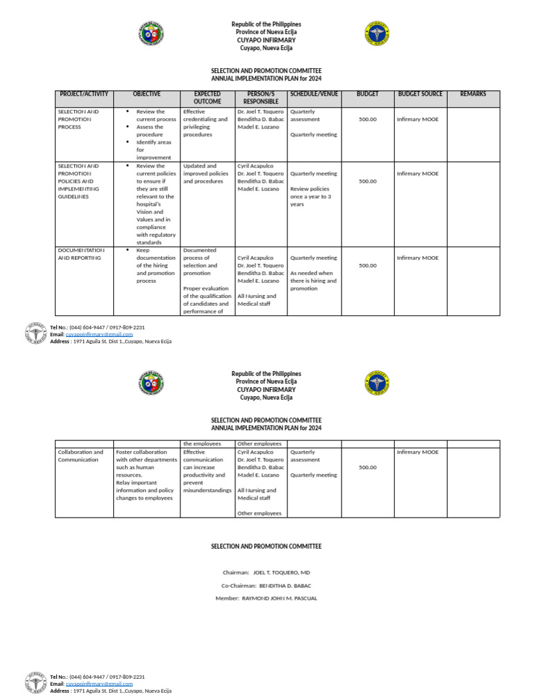 Selection and Promotion Committee Annual Implementation Plan (Template ...