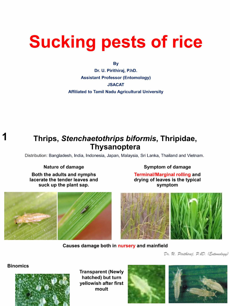 c9bcfc5a-dea2-45b0-a098-1e8b7b72f1ec | PDF