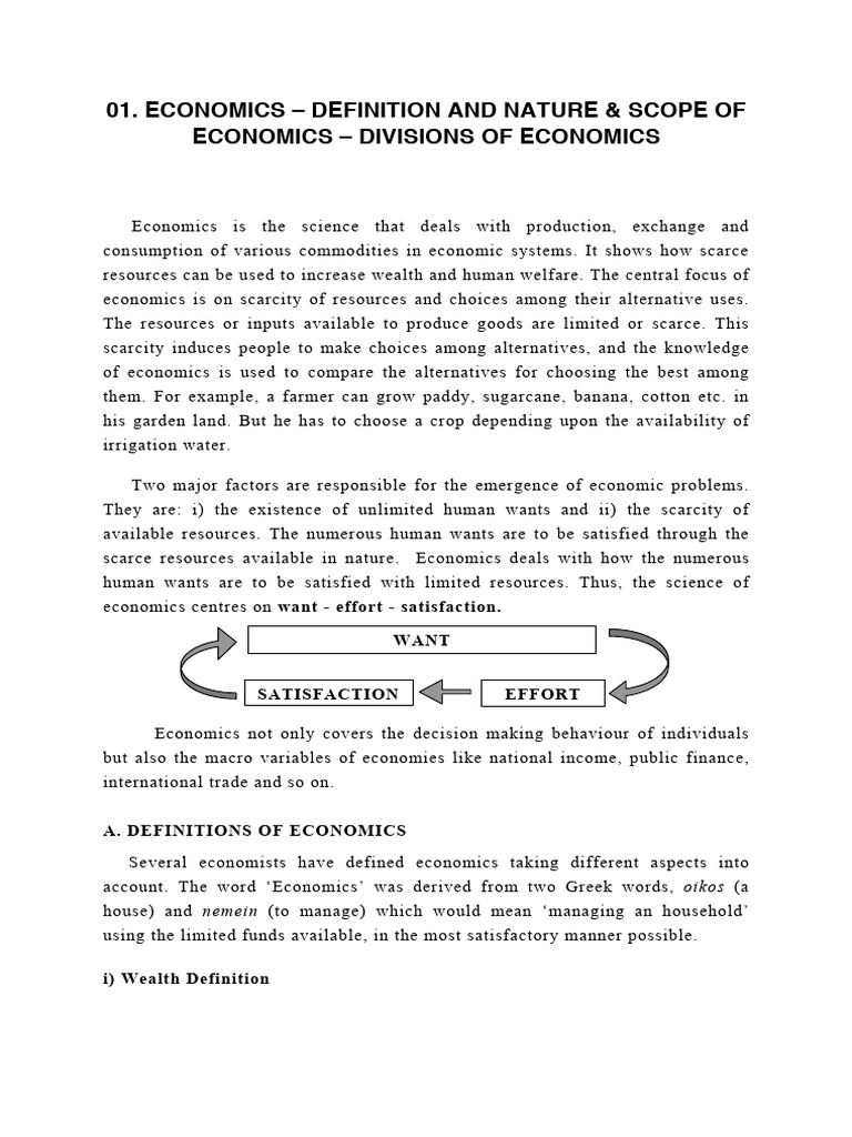 Understanding Economics: Definitions & Scope | PDF | Demand | Supply ...