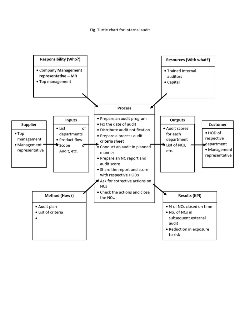 Turtle chart | PDF | Audit | Business Economics