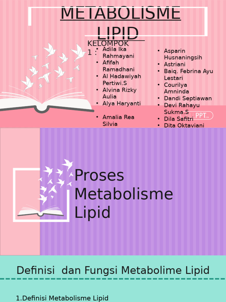 Metabolisme Lipid | PDF