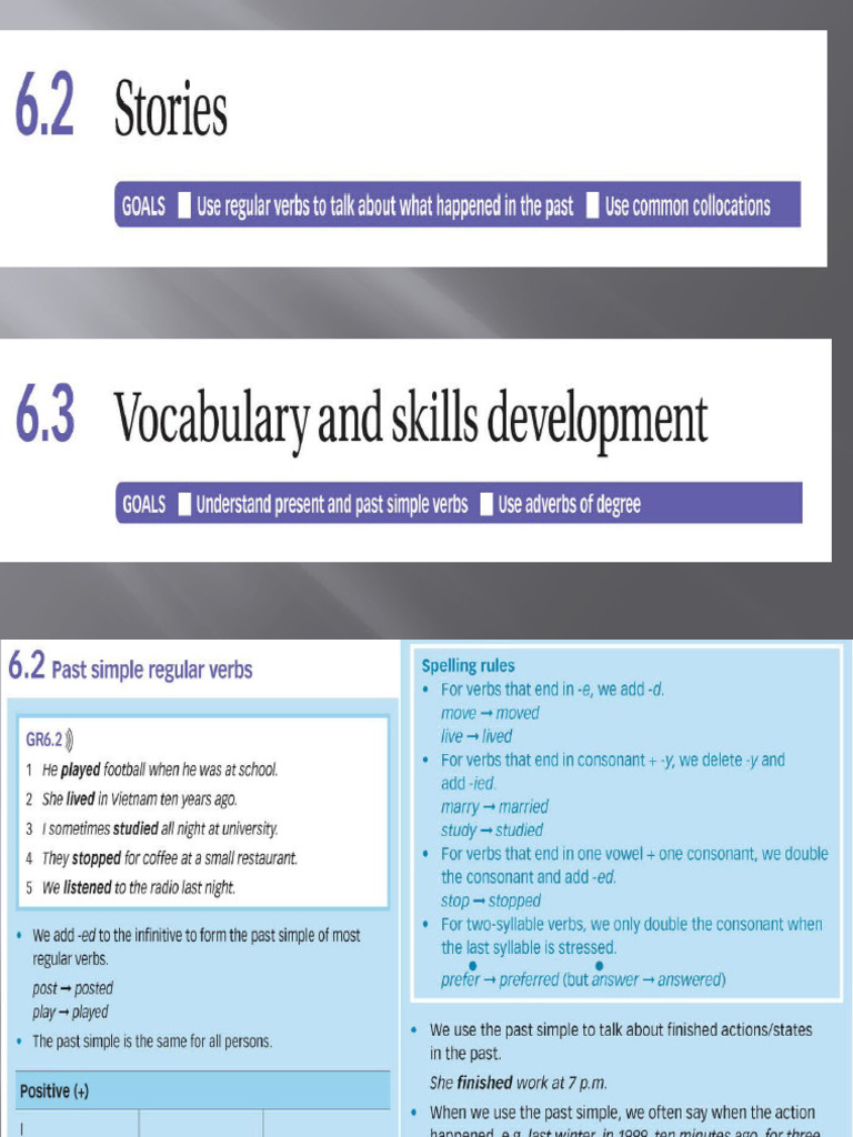 16-Theme - Past Simple. Adverbs of Degree. | PDF