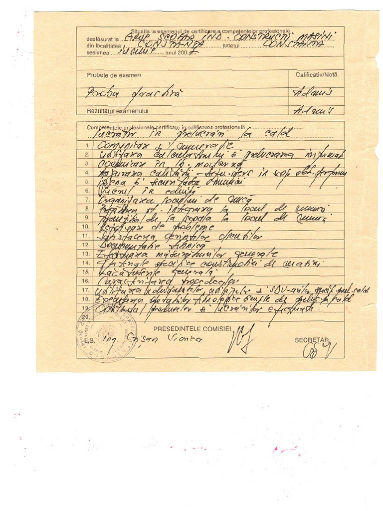 Certificat de Calificare Profesionala - BRAGADIREANU | PDF
